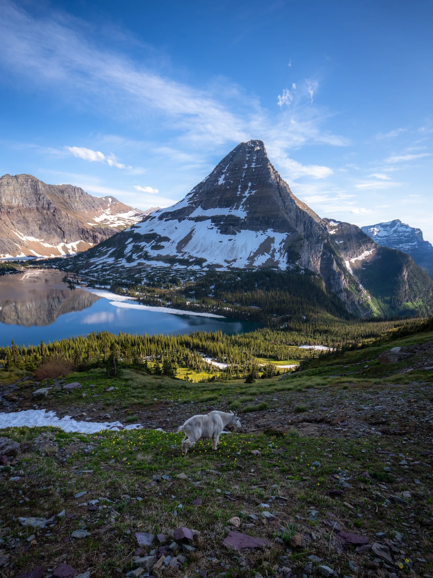 Hiking the Hidden Lake Trail in Glacier National Park — noahawaii