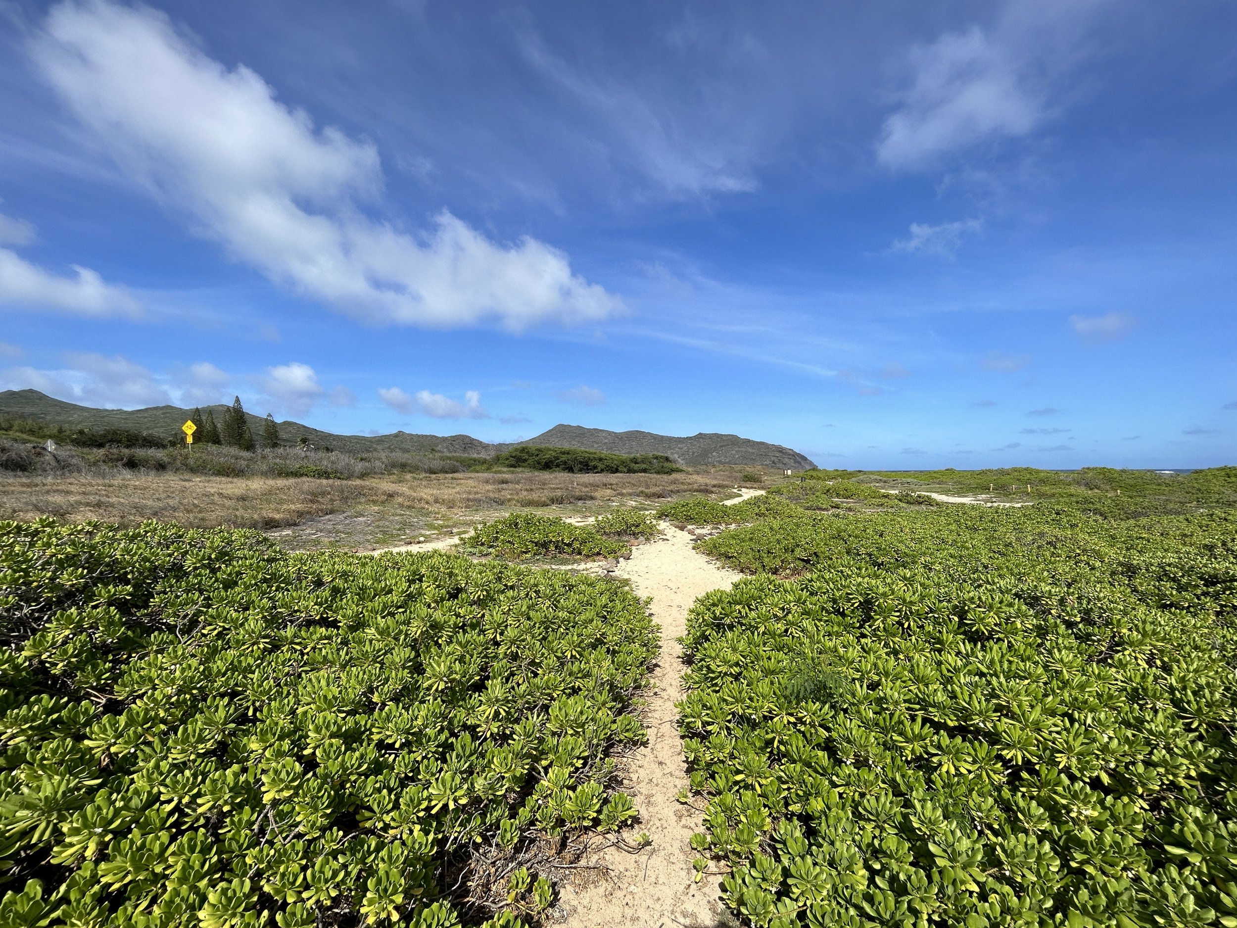 Hiking the Kaiwi Shoreline Trail on Oʻahu — noahawaii