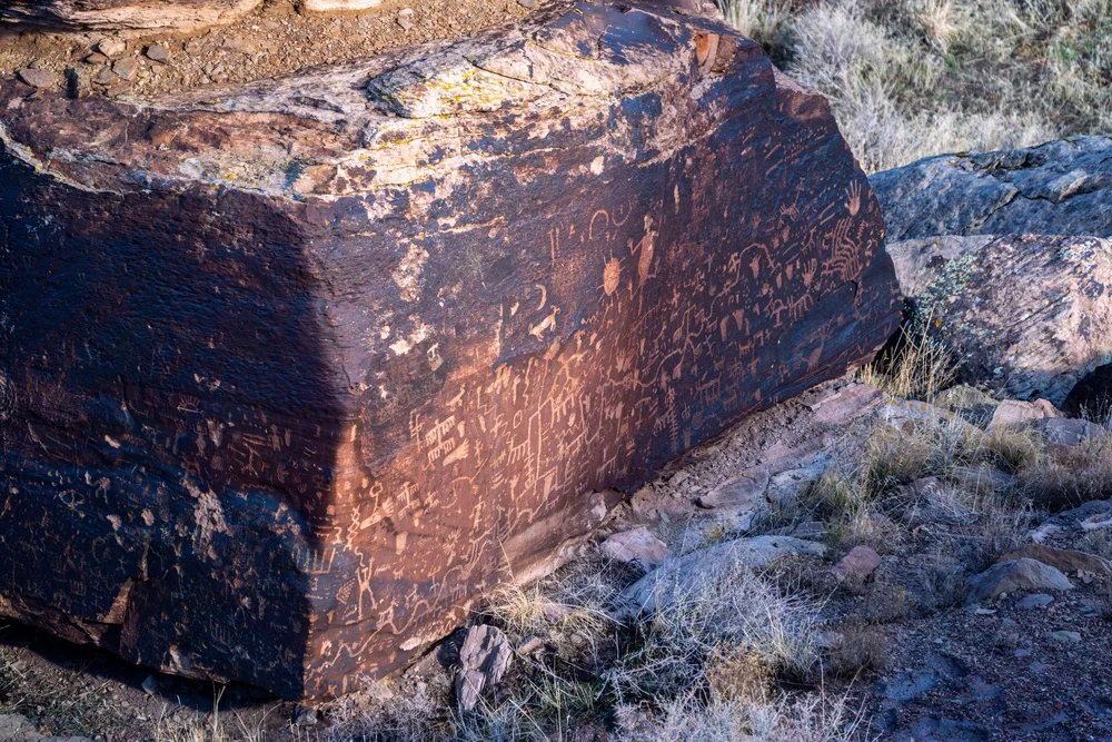 15 Best Things to Do in Petrified Forest National Park — noahawaii