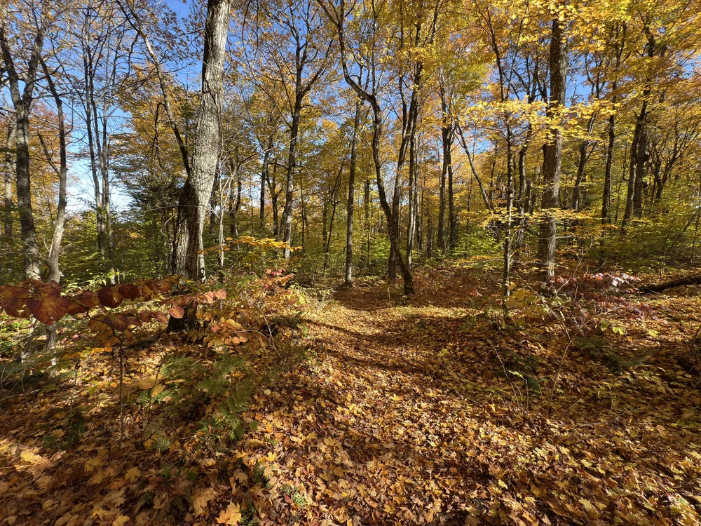 Hiking the Little Moose Pond Loop Trail in Greenville, Maine — noahawaii
