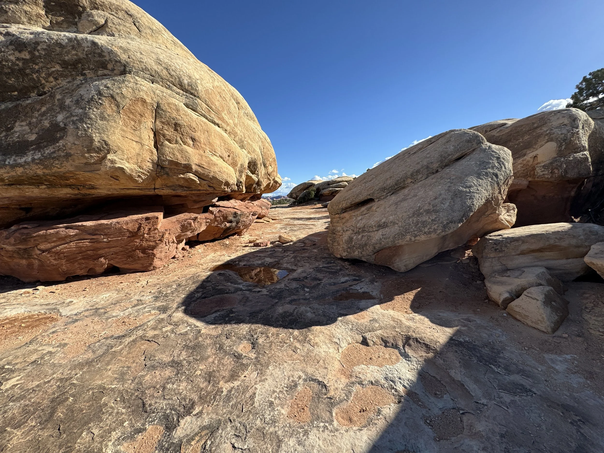 Hiking the Pothole Point Trail in Canyonlands National Park — noahawaii