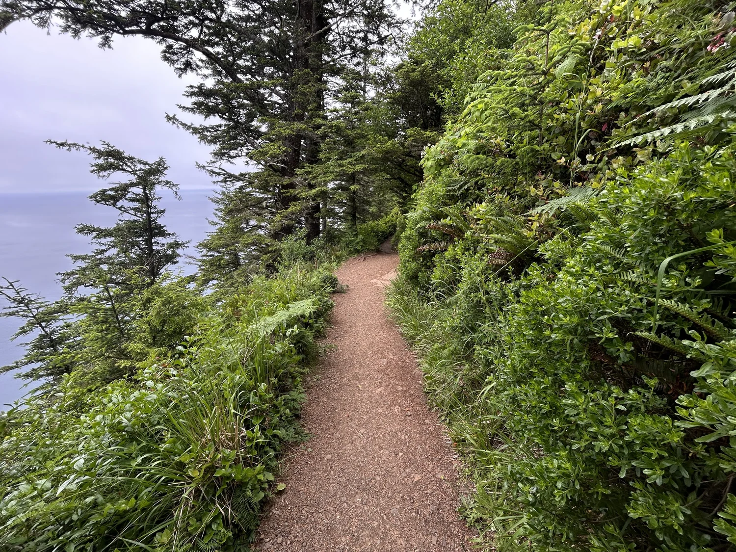 Hiking the Cape Lookout Trail on the Oregon Coast — noahawaii