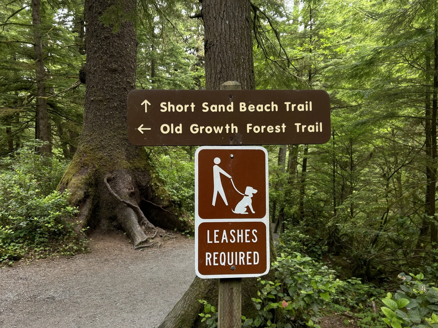 Hiking the Short Sand Beach Trail on the Oregon Coast — noahawaii