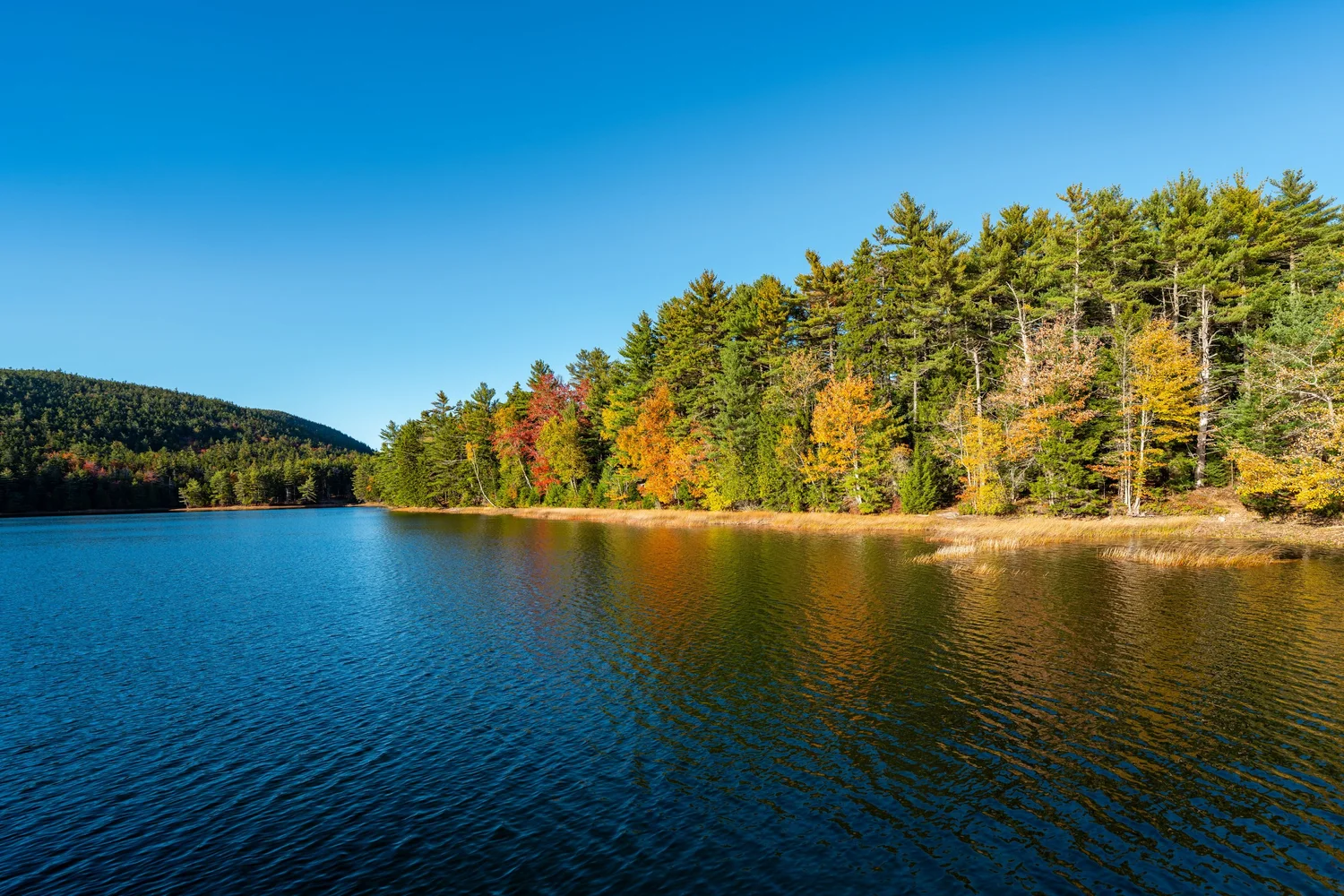 Hiking the Hadlock Ponds Loop Trail in Acadia National Park — noahawaii