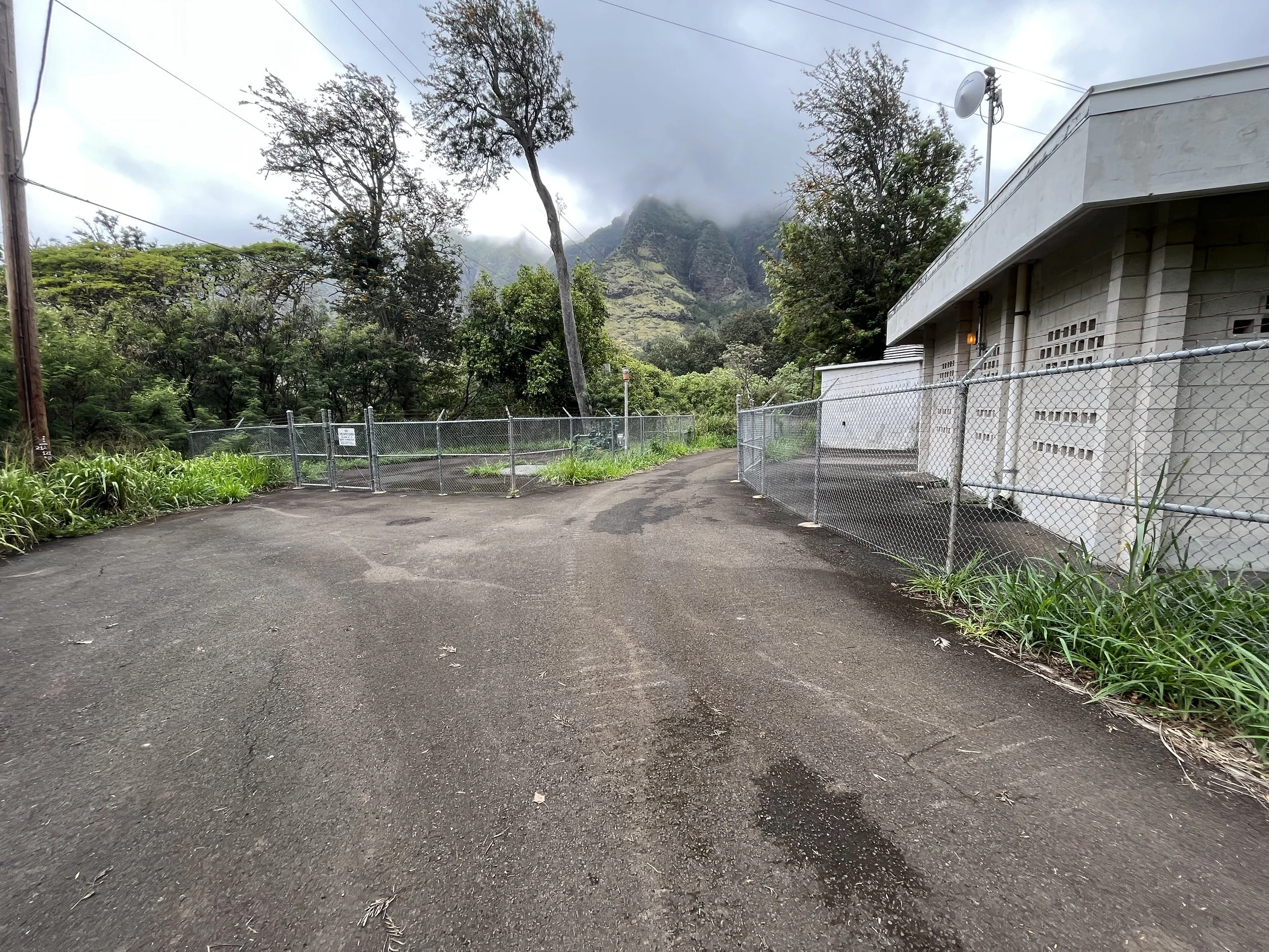 Hiking the Mt. Kaʻala Trail: The Tallest Point on Oʻahu — noahawaii