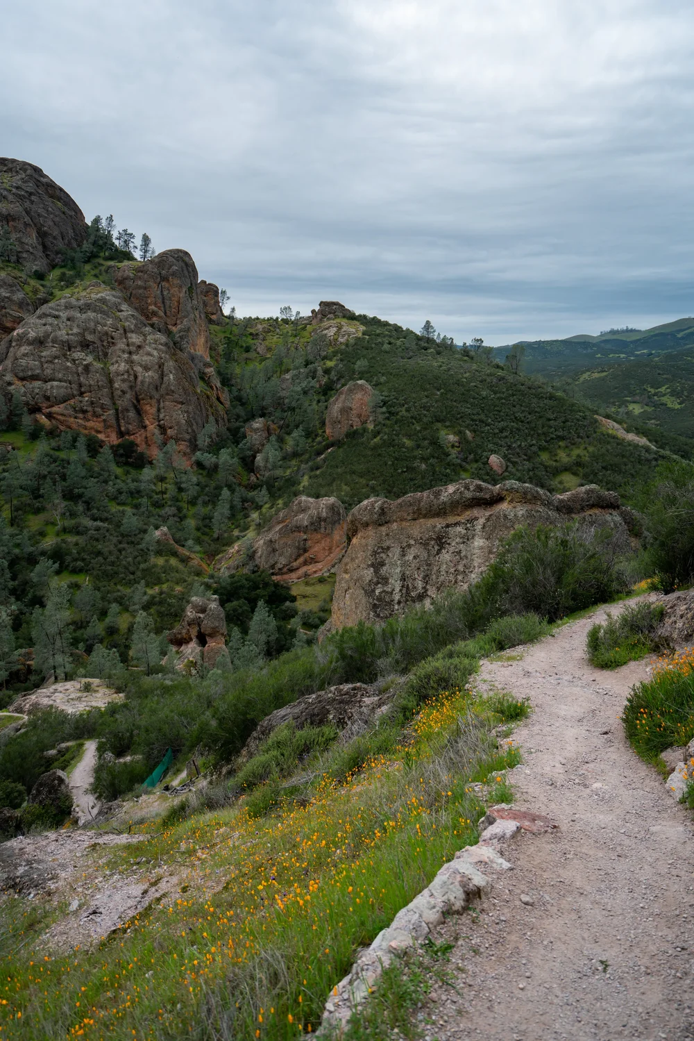 Best Loop Trails in Pinnacles National Park — noahawaii