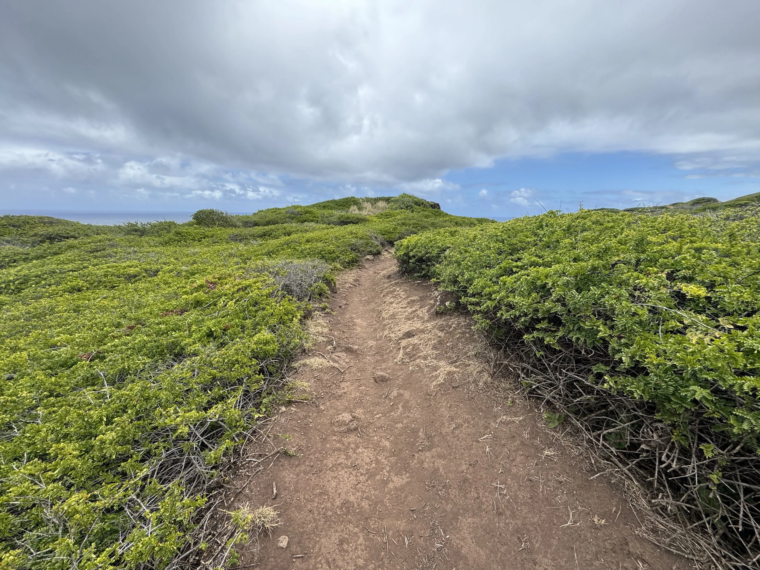 Hiking the ʻŌhai Loop Trail on Maui, Hawaiʻi — noahawaii