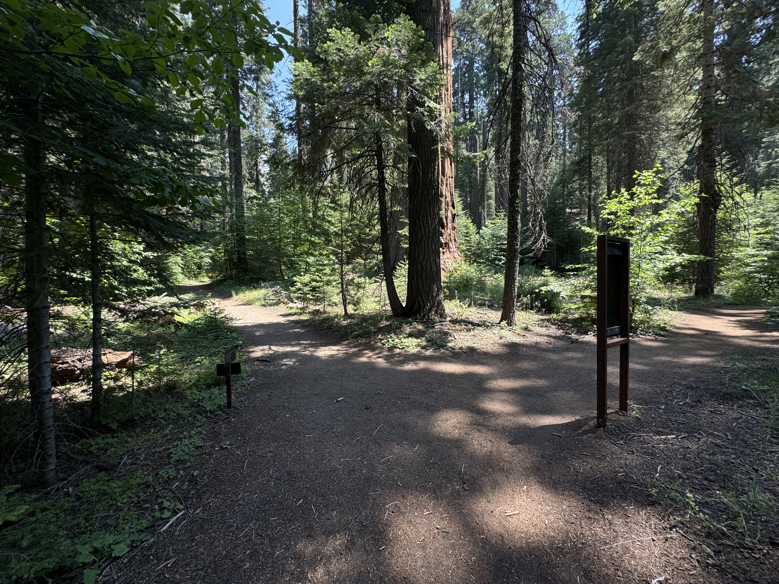 Hiking the Hazelwood Nature Loop Trail in Sequoia National Park — noahawaii