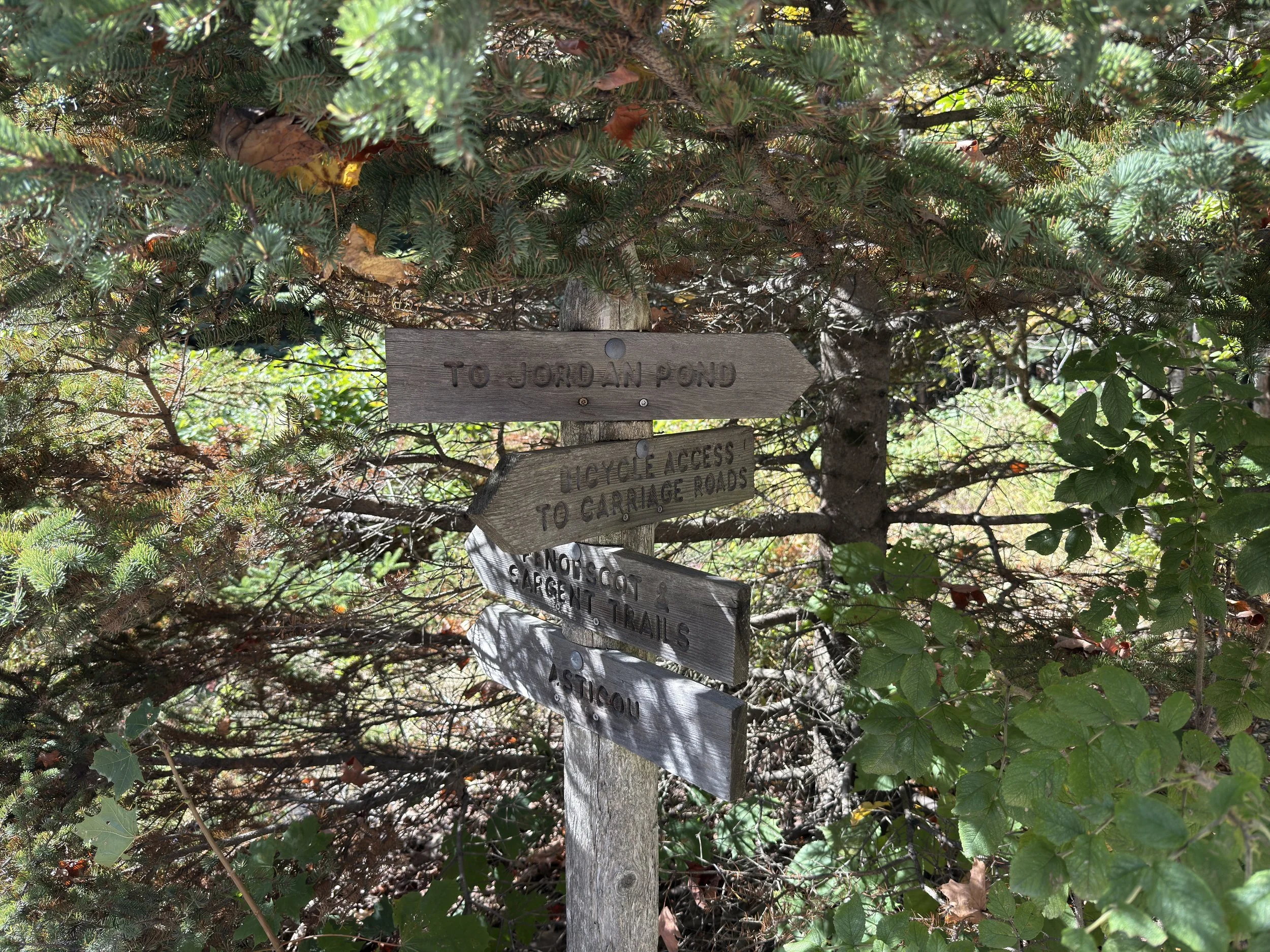Hiking the Jordan Pond Path in Acadia National Park — noahawaii