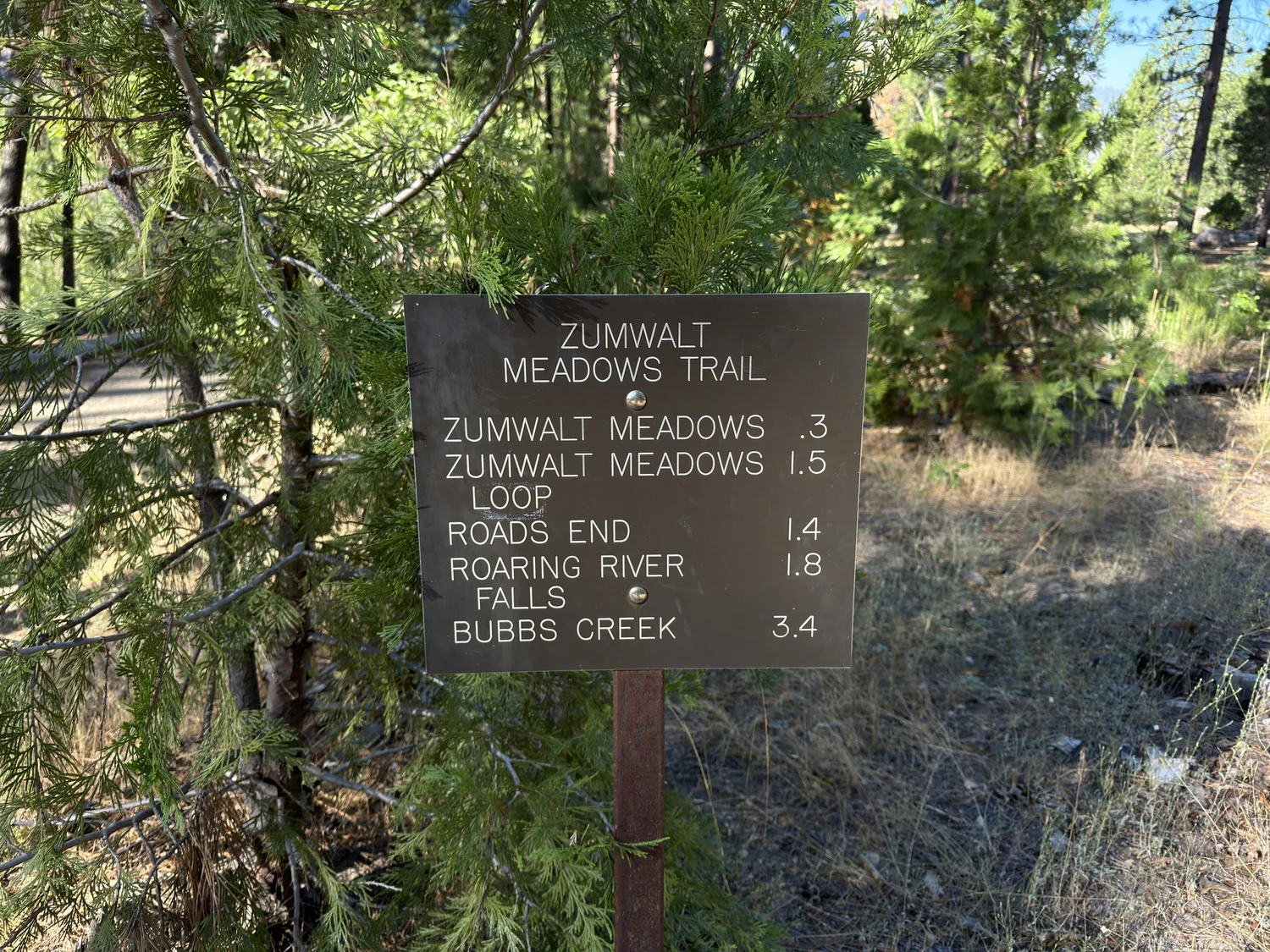 Hiking the Zumwalt Meadow Loop Trail in Kings Canyon National Park ...