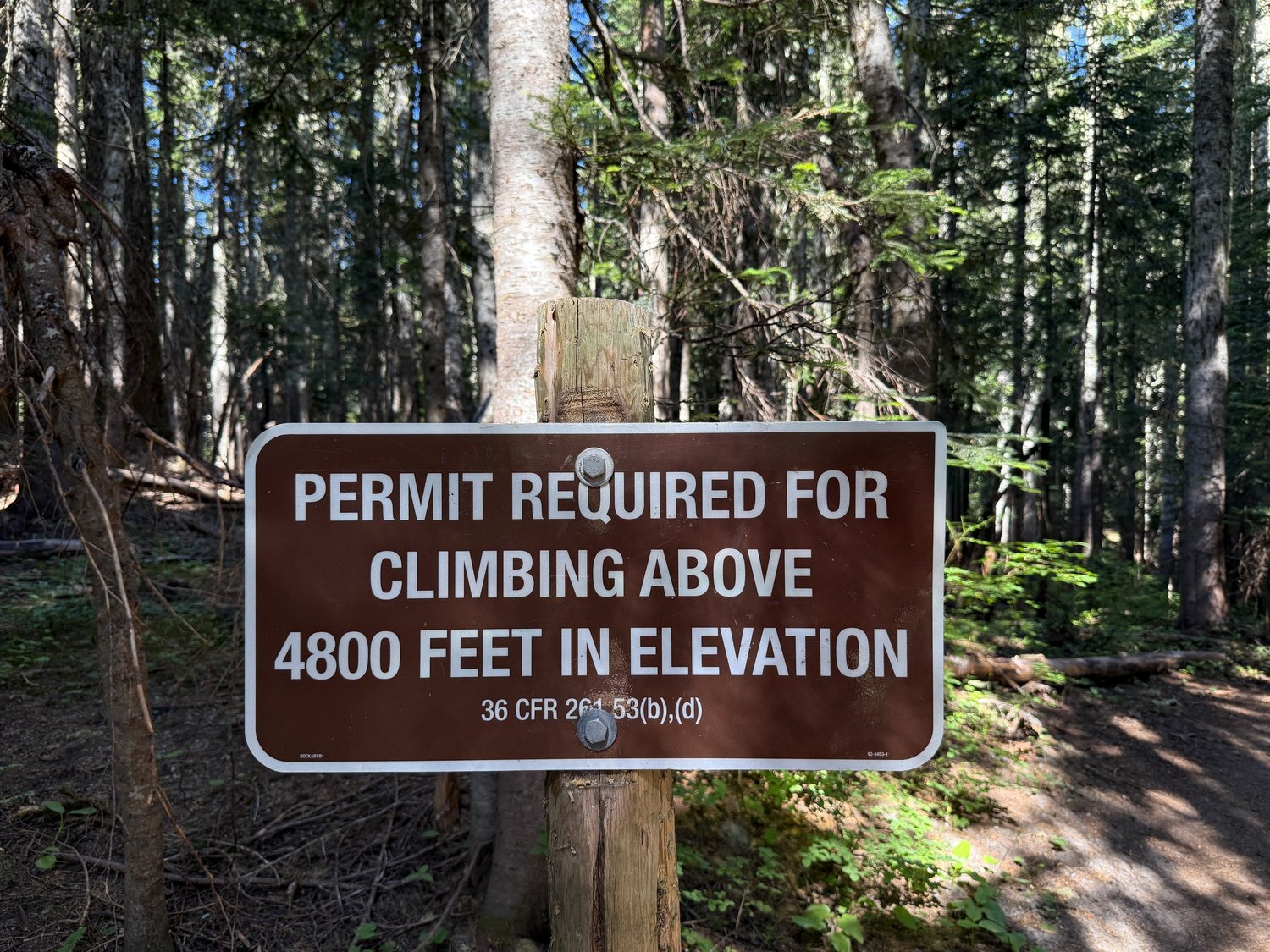 Climbing Mount Saint Helens via the Ptarmigan Trail & Monitor Ridge in ...