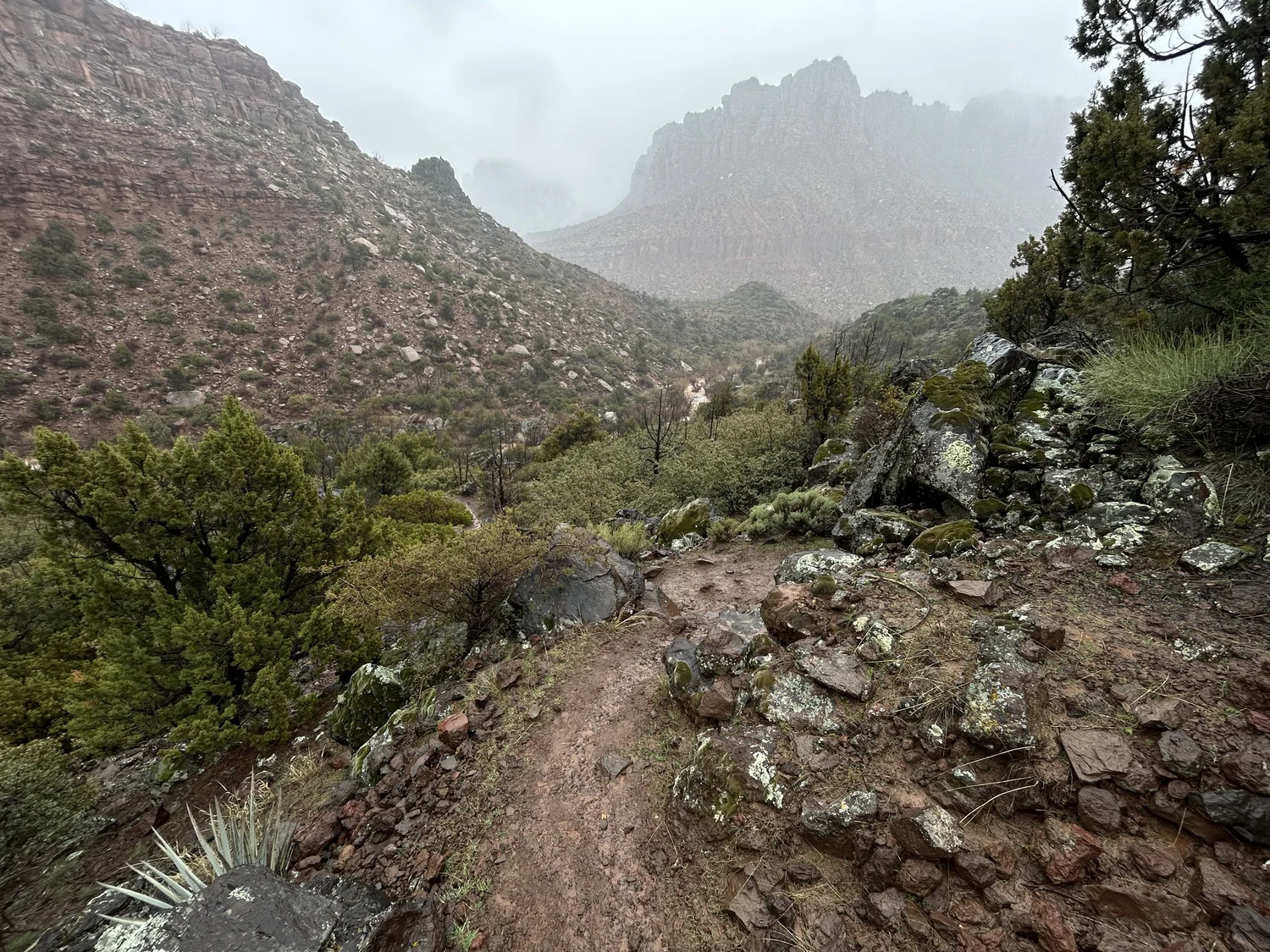 Hiking the Grapevine Trail to Left Fork Falls in Zion National Park ...