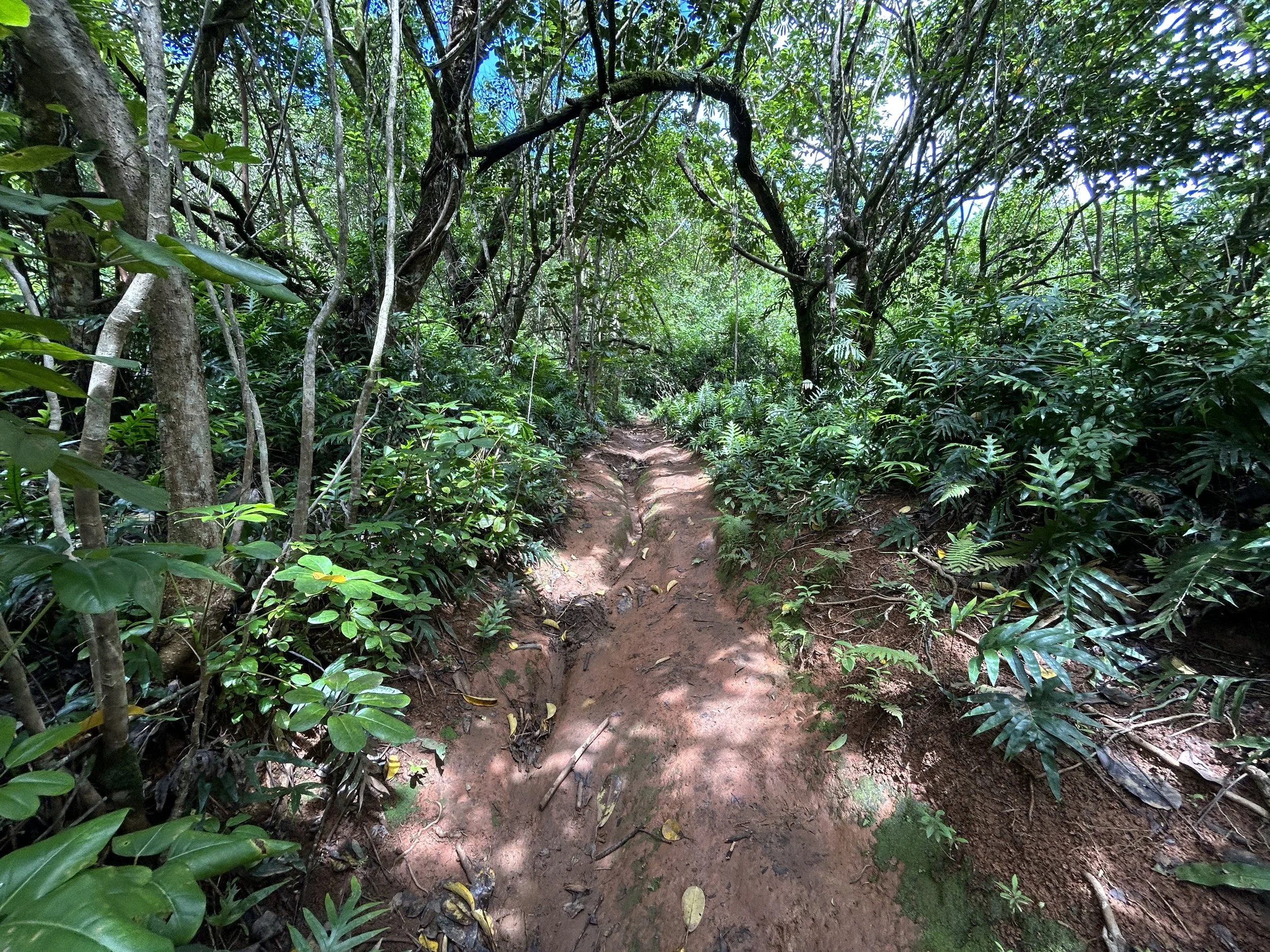 Hiking the Mt. Olomana Trail (Three Peaks) on Oʻahu, Hawaiʻi — noahawaii