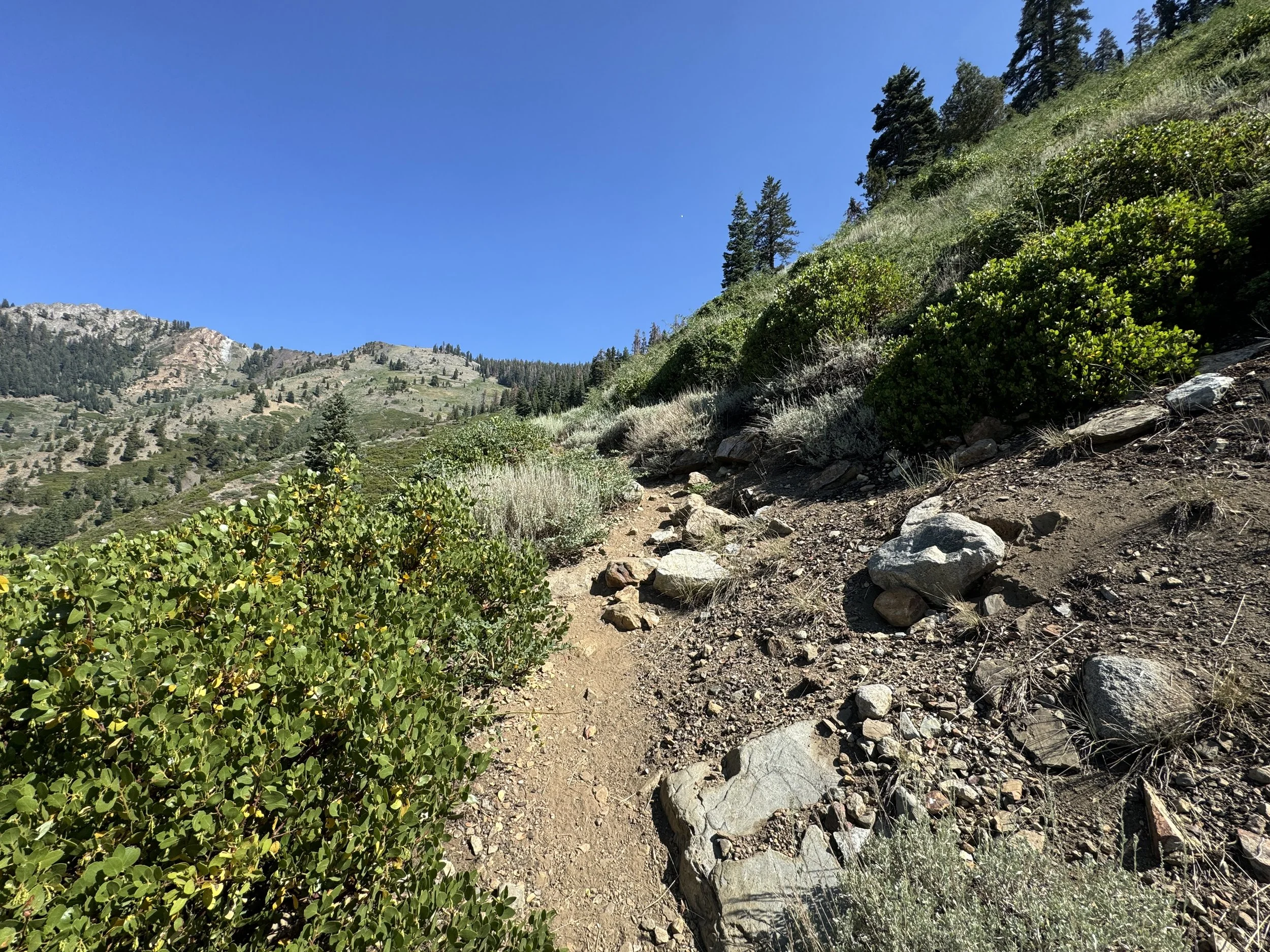 Hiking the Mineral King Loop Trail in Sequoia National Park — noahawaii