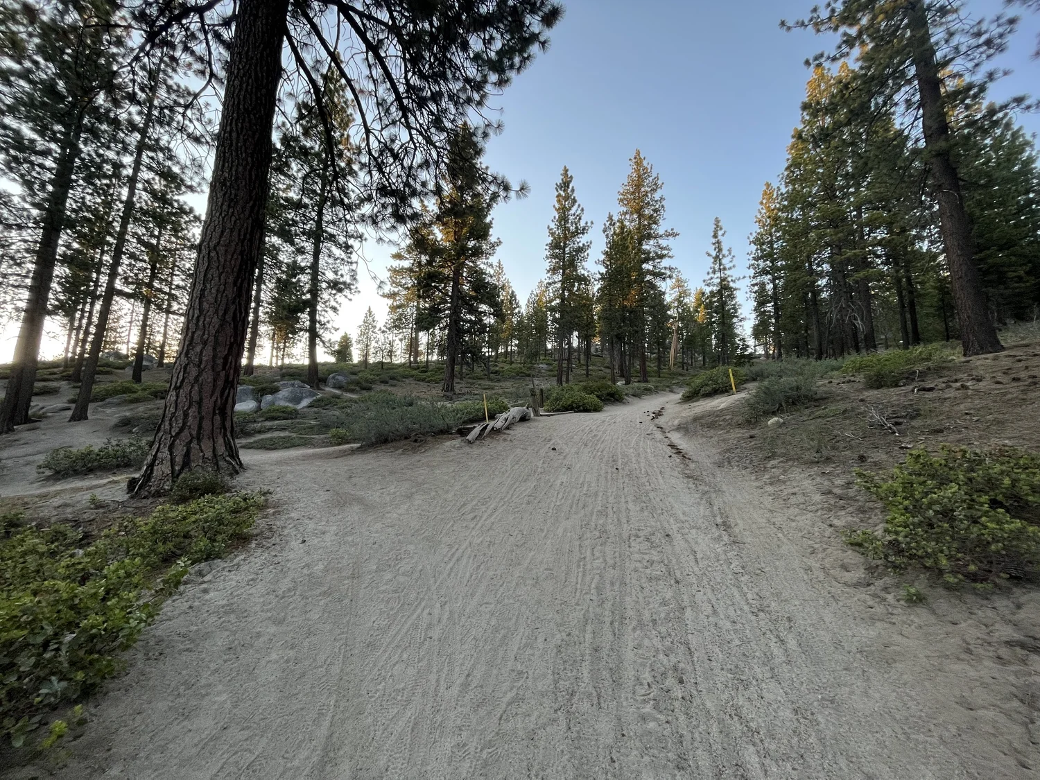 Hiking the Monkey Rock Trail in Lake Tahoe, Nevada — noahawaii