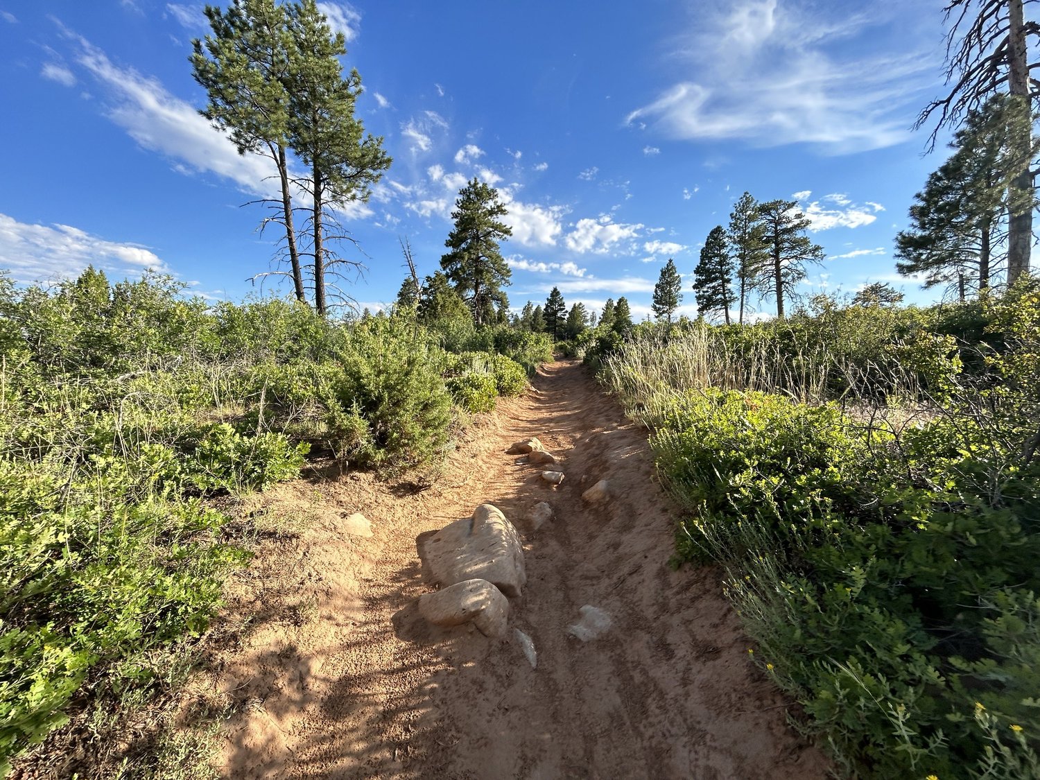 Hiking the East Mesa Trail to Observation Point in Zion National Park ...
