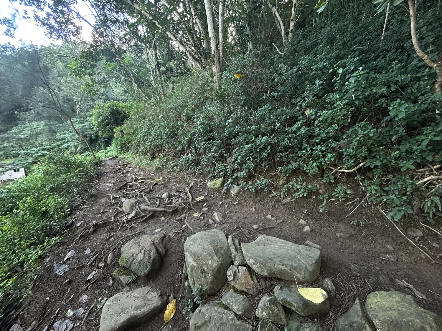 Hiking the Oneʻawa Hills Trail (Kapaʻa Quarry) via the Friendship ...