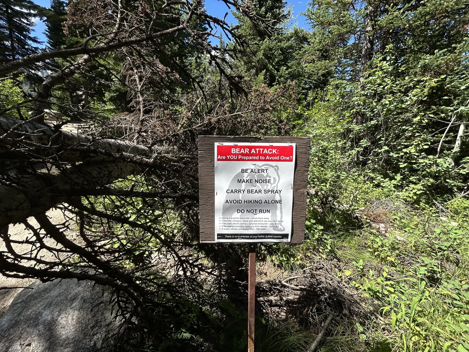 Hiking the Jenny Lake Loop Trail in Grand Teton National Park — noahawaii