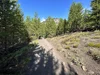 Hiking the Mystic Falls Trail (Little Firehole Loop) in Yellowstone ...