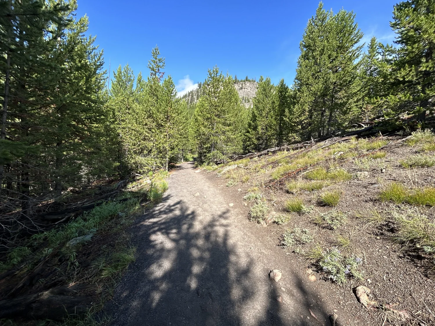 Hiking the Mystic Falls Trail (Little Firehole Loop) in Yellowstone ...