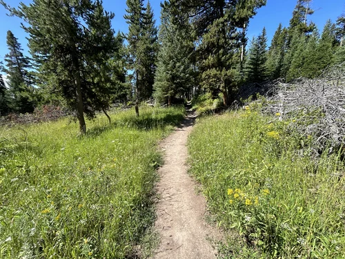 Hiking the Storm Point Trail in Yellowstone National Park — noahawaii