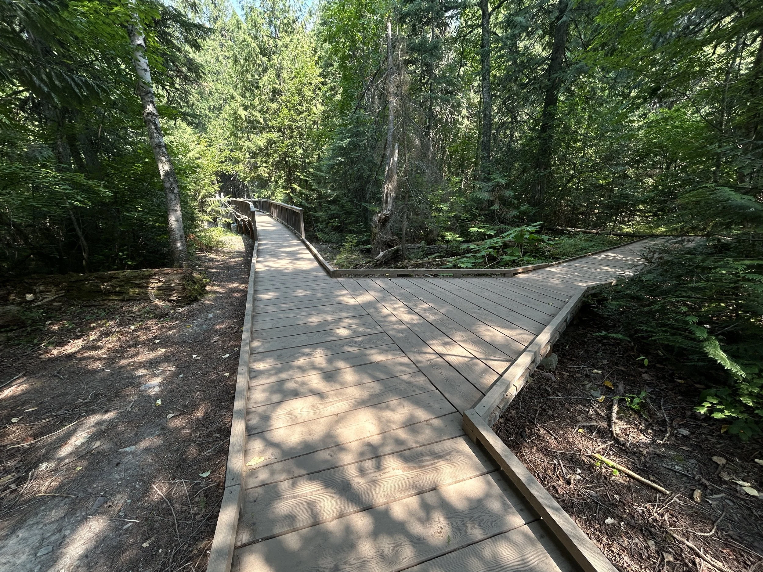 Hiking the Avalanche Lake Trail in Glacier National Park — noahawaii
