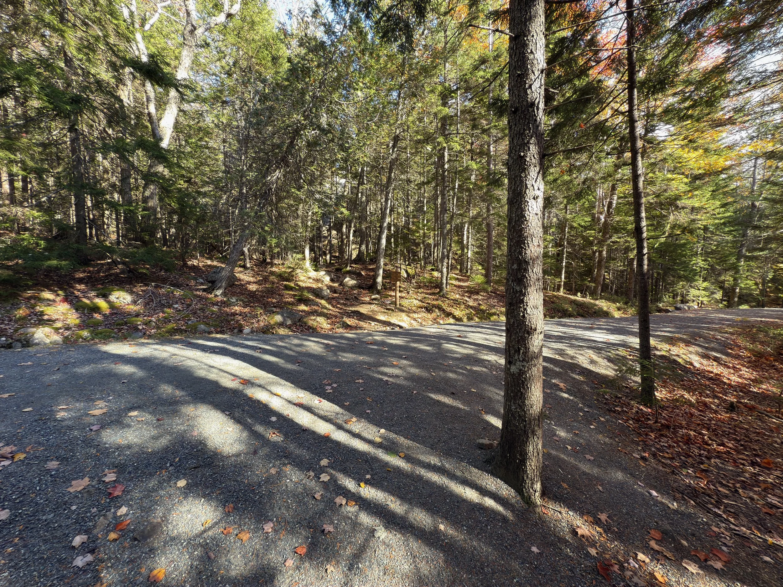 Hiking the Hadlock Ponds Loop Trail in Acadia National Park — noahawaii