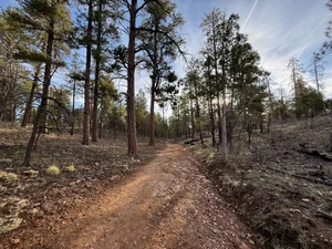 Hiking the Shoshone Point Trail in Grand Canyon National Park — noahawaii