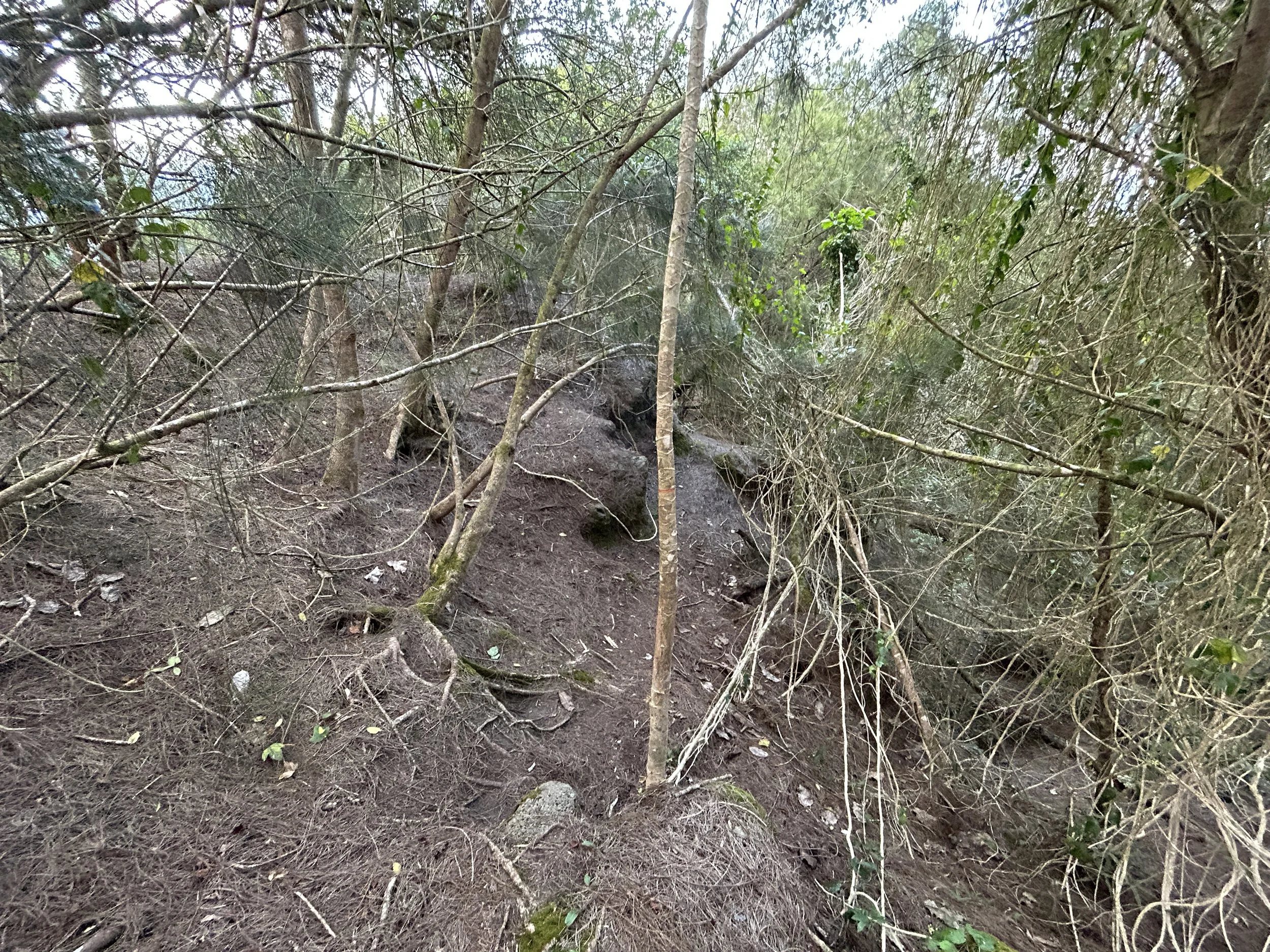 Hiking the Pyramid Rock Loop Trail on Oʻahu — noahawaii