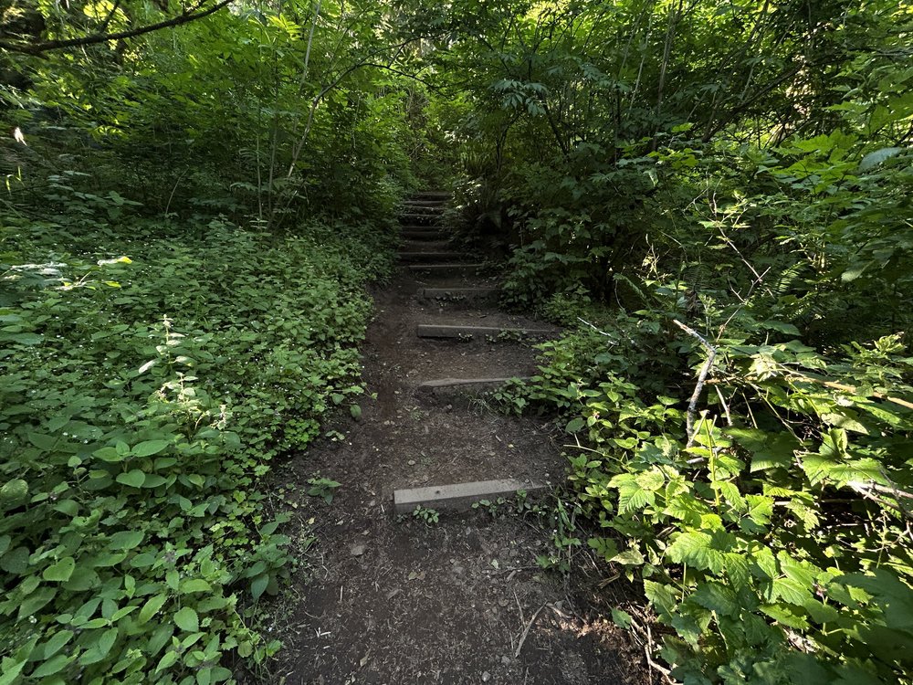 Hiking the Lower Cascade Head Trail on the Oregon Coast — noahawaii
