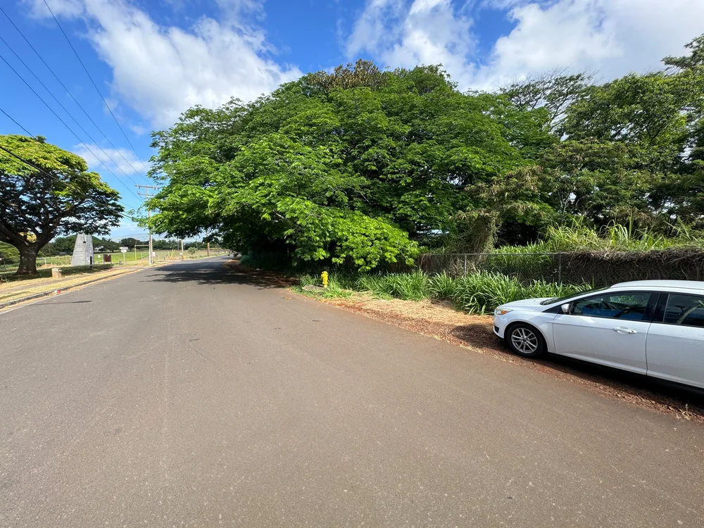 Hiking the Waimano Ridge Trail on Oʻahu, Hawaiʻi — noahawaii