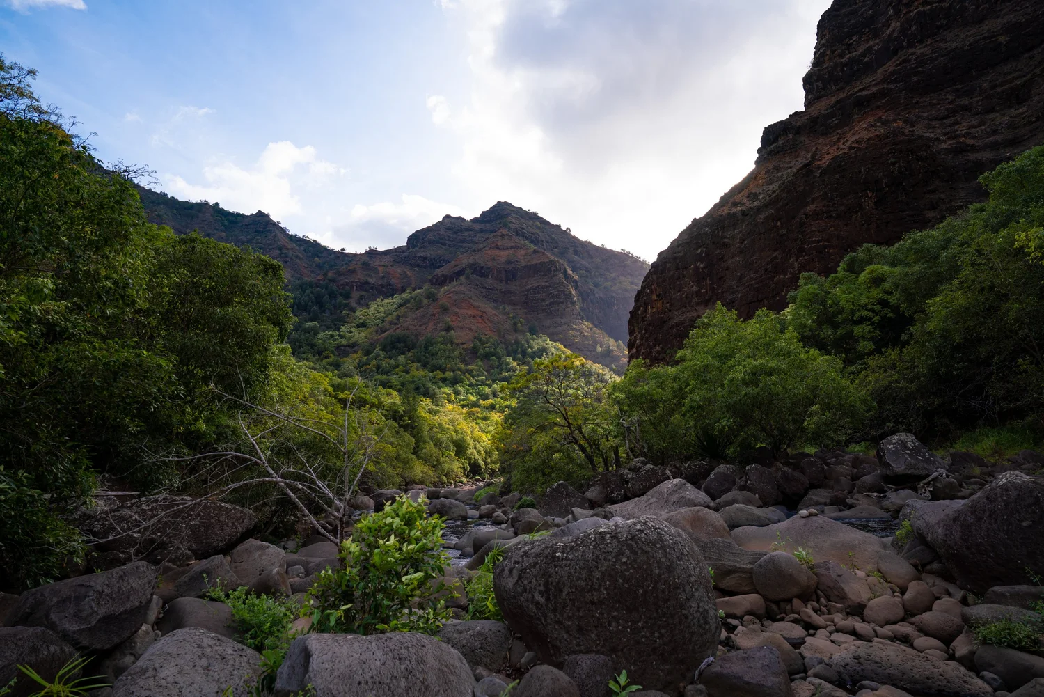 Hiking the Kukui Trail to the Lonomea Shelter on Kauaʻi, Hawaiʻi ...