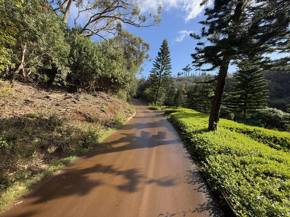 Hiking the Koloiki Ridge-Kaiholena Ridge Loop Trail on Lānaʻi, Hawaiʻi ...
