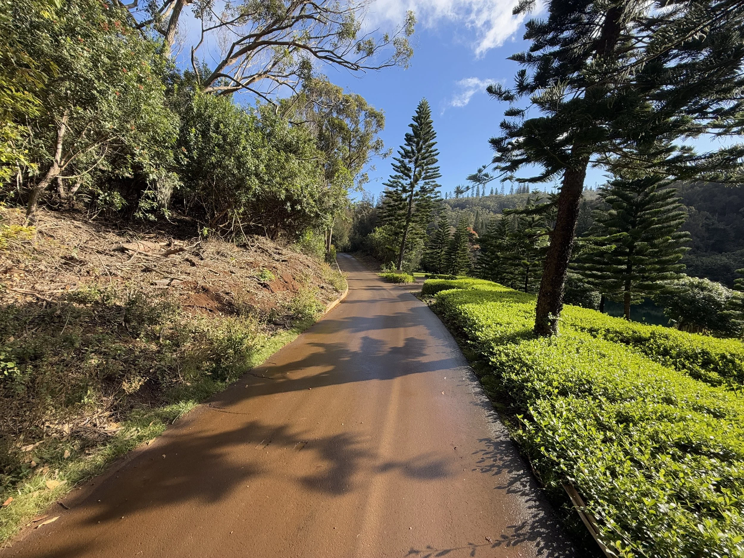 Hiking the Koloiki Ridge-Kaiholena Ridge Loop Trail on Lānaʻi, Hawaiʻi ...