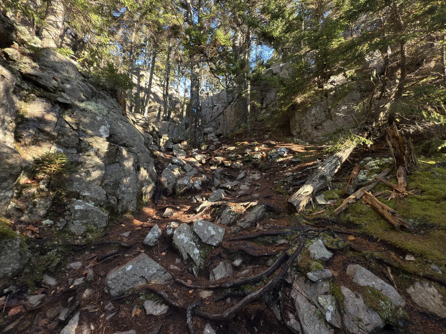 Hiking the Anvil-Schoodic Head-Alder Loop Trail in Acadia National Park ...