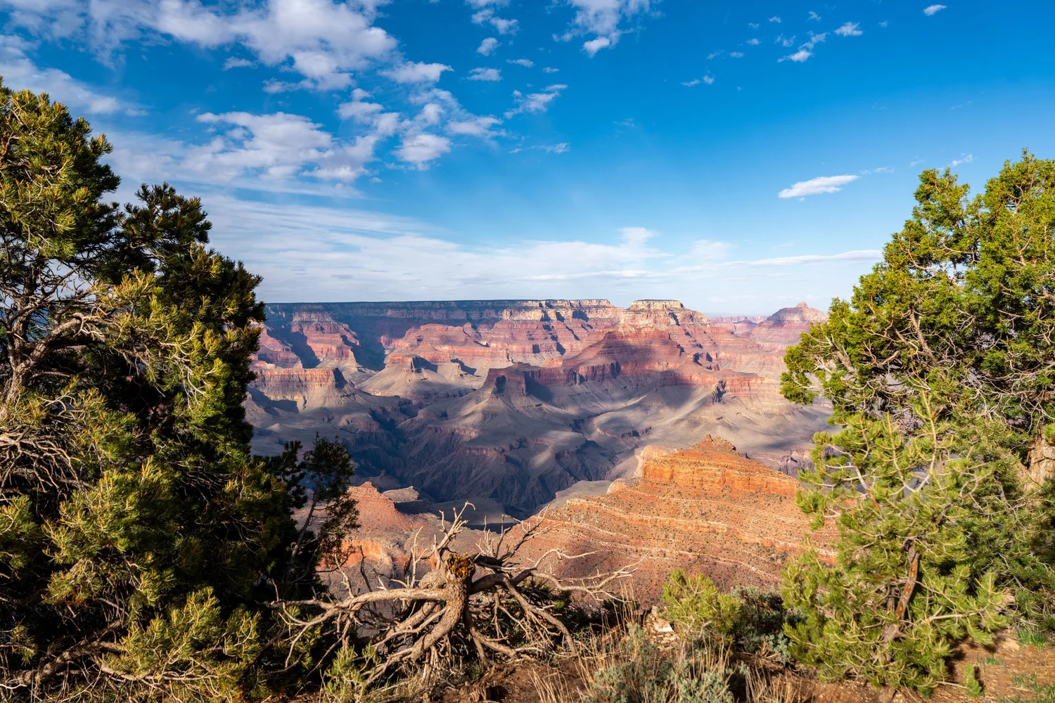 Hiking the Shoshone Point Trail via South Kaibab in Grand Canyon National Park — noahawaii