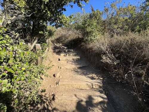 Hiking the Cowles Mountain Trail: The Tallest Peak in San Diego ...