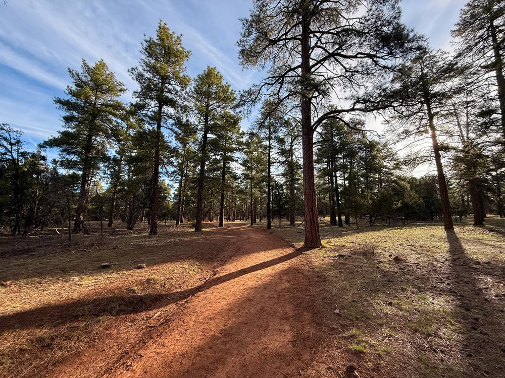 Hiking the Shoshone Point Trail in Grand Canyon National Park — noahawaii