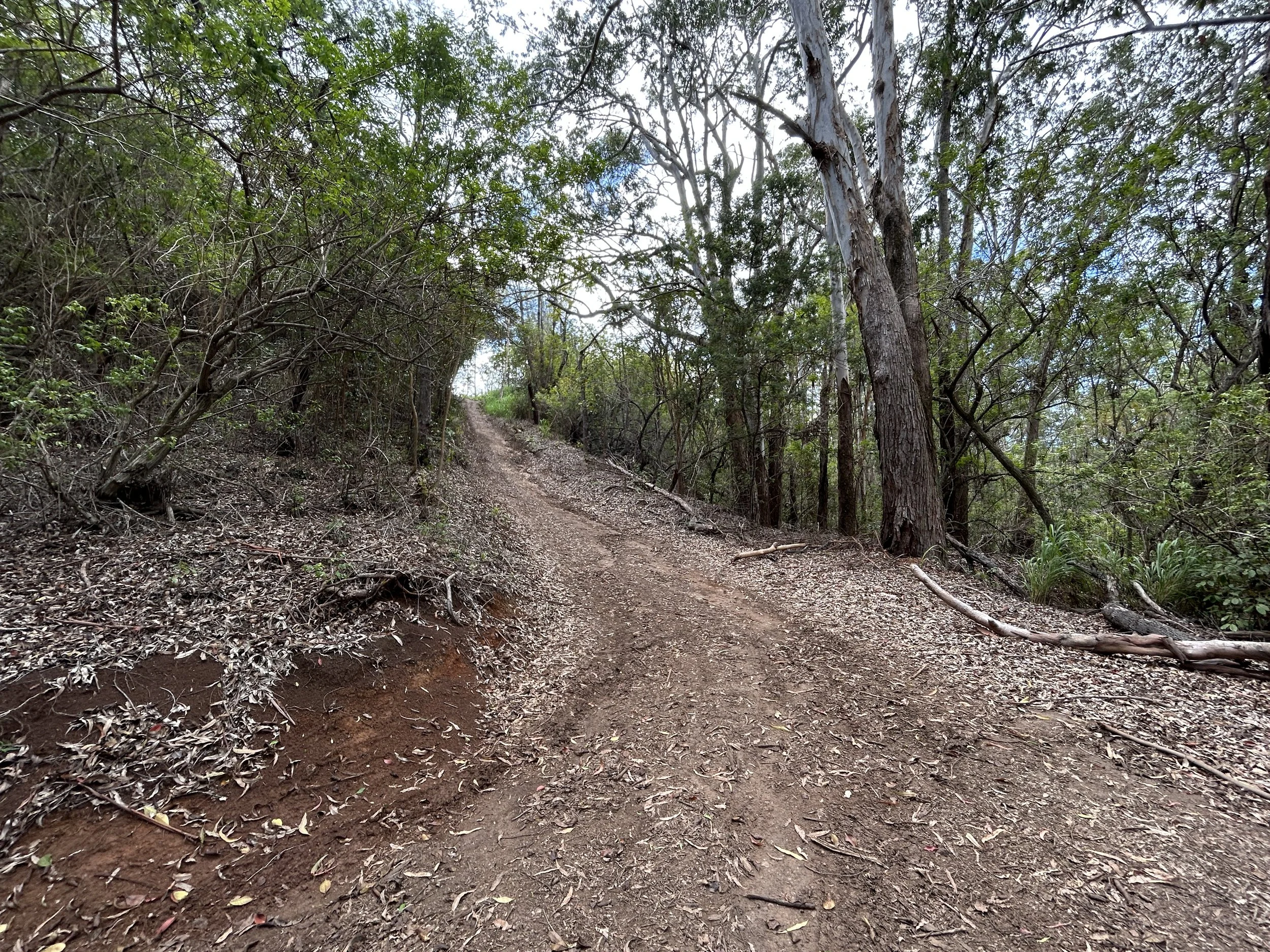 Hiking the Keālia Trail on Oʻahu's North Shore — noahawaii