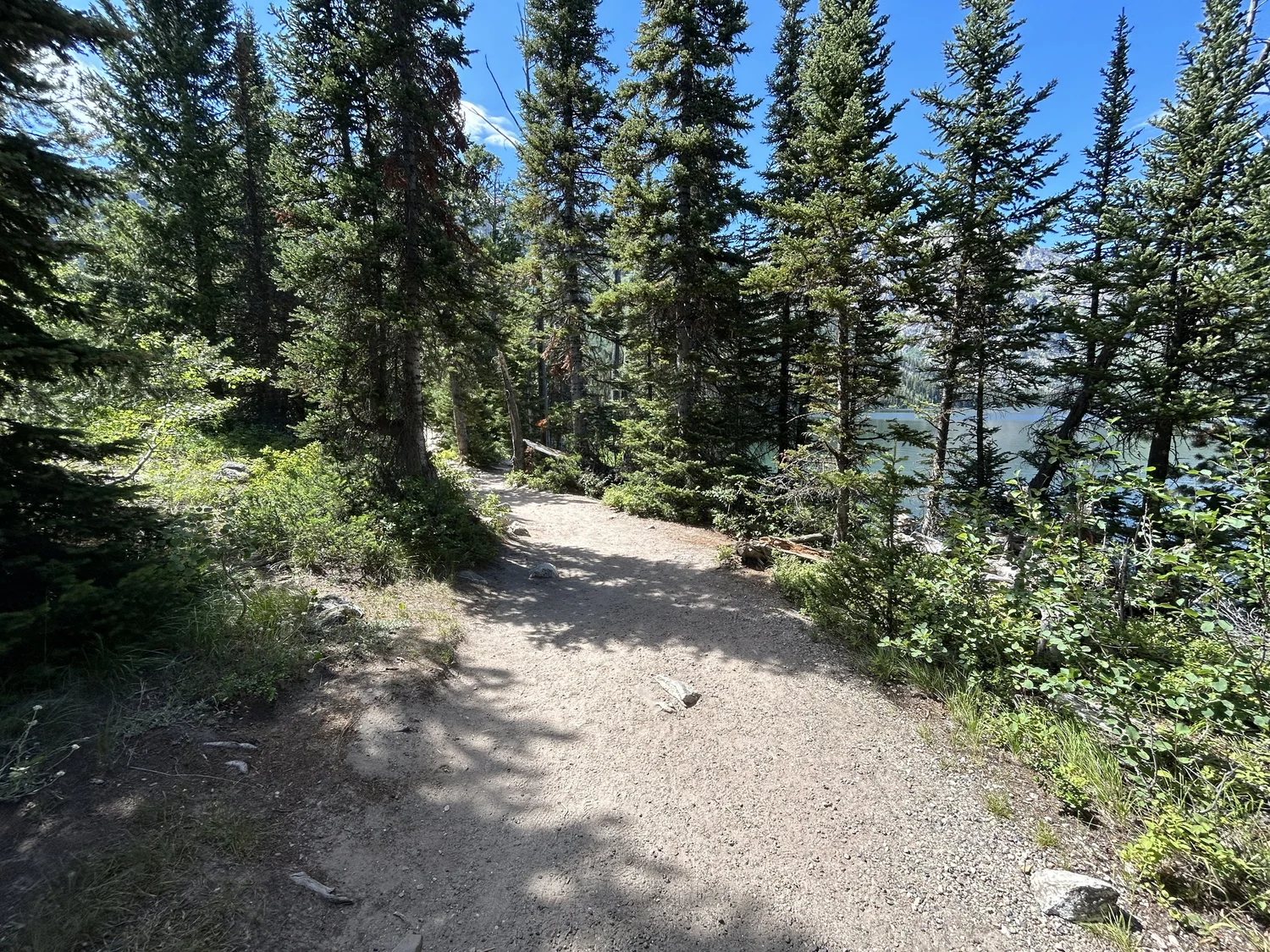 Hiking the Jenny Lake Loop Trail in Grand Teton National Park — noahawaii