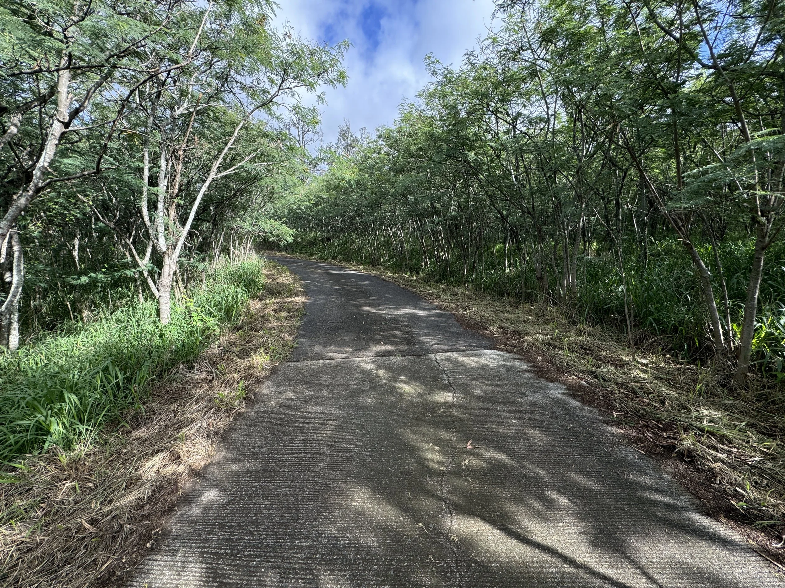 Hiking Mt. Kaʻala: The Tallest Peak on Oʻahu, Hawaiʻi — noahawaii