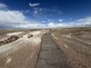 Hiking the Crystal Forest Trail in Petrified Forest National Park ...