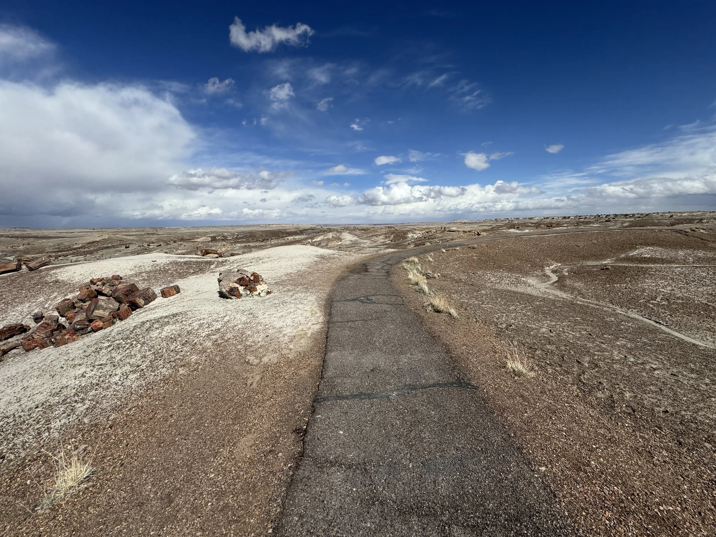 Hiking the Crystal Forest Trail in Petrified Forest National Park ...