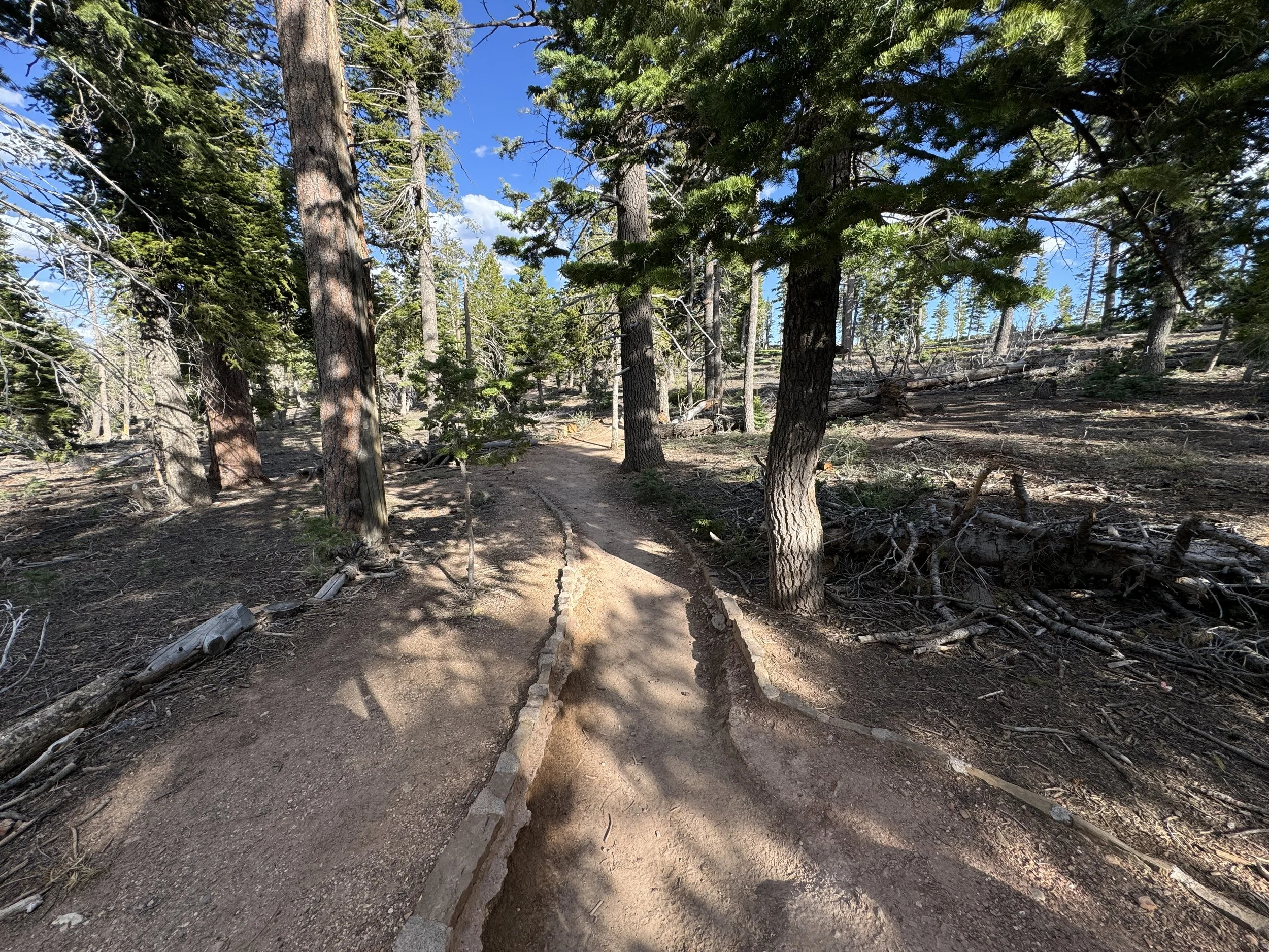 Hiking the Bristlecone Loop Trail in Bryce Canyon National Park — noahawaii