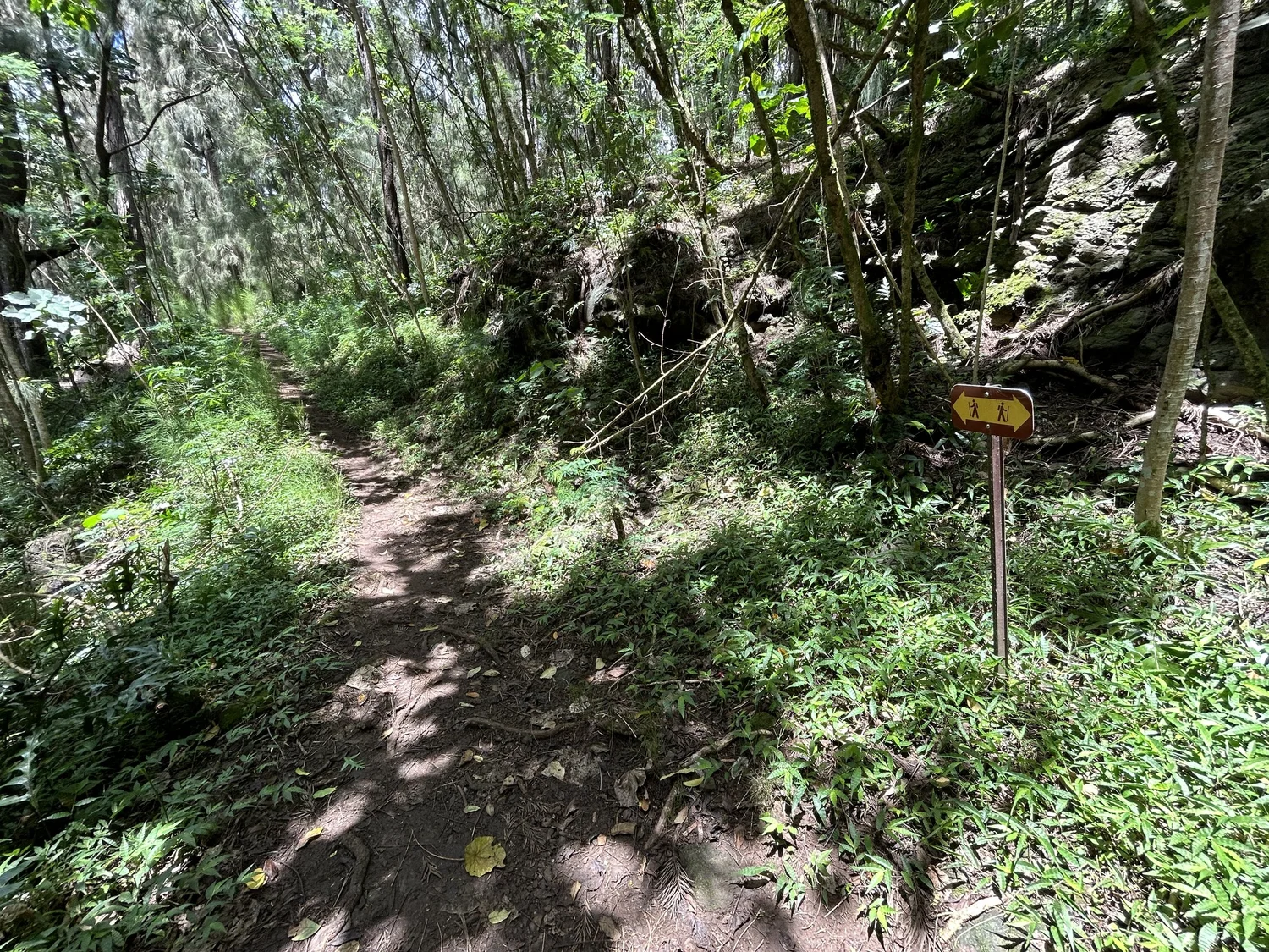 Hiking the Hauʻula Loop Trail on Oʻahu’s North Shore — noahawaii