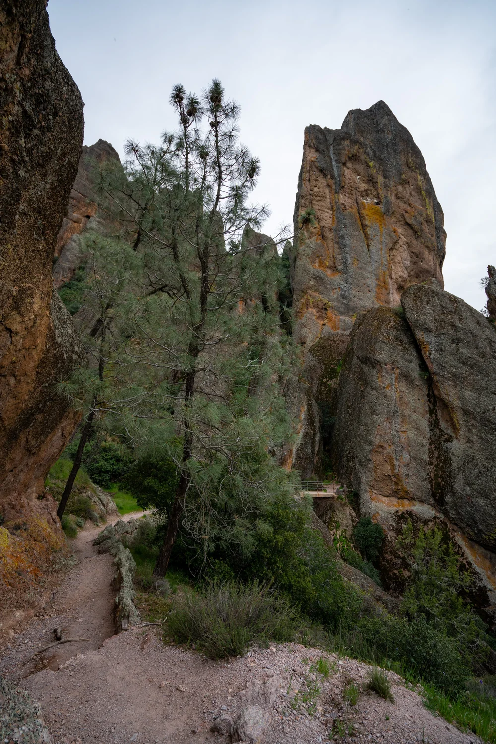 Best Loop Trails in Pinnacles National Park — noahawaii
