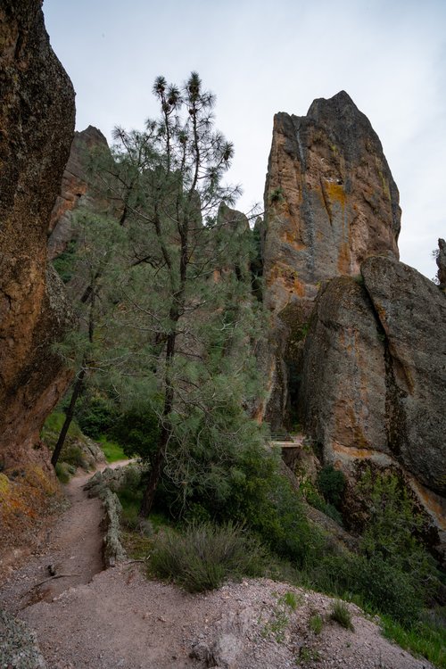 Best Loop Trails in Pinnacles National Park — noahawaii