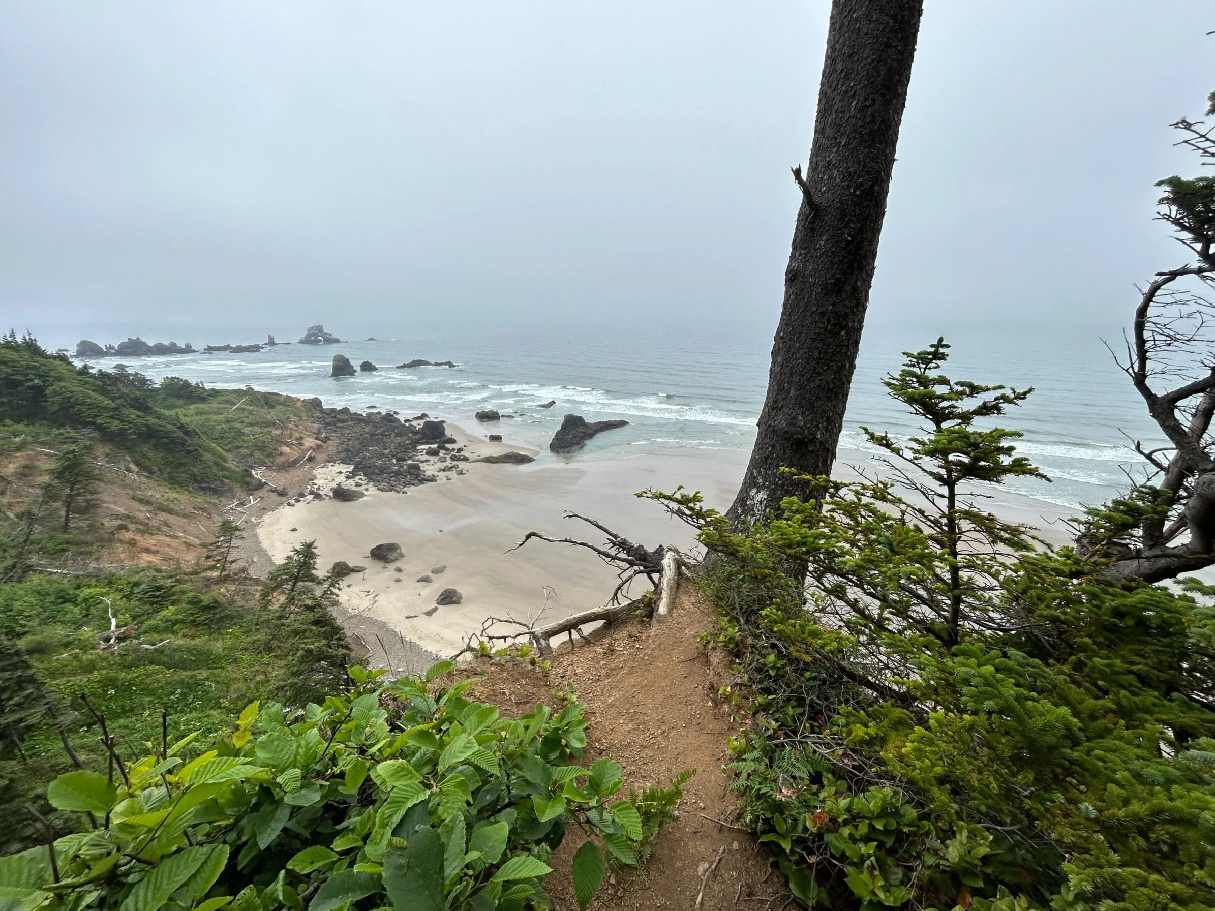Hiking the Indian Beach Trail on the Oregon Coast — noahawaii