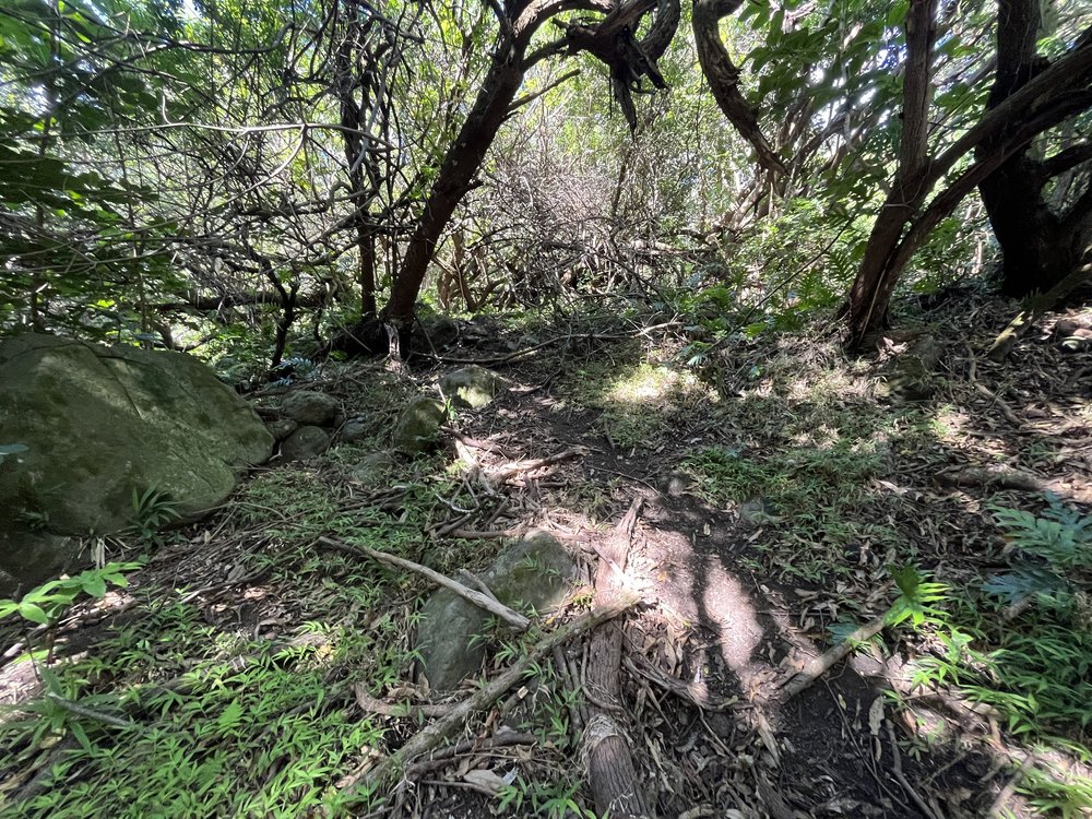 Hiking the Wailupe Loop Trail on Oʻahu — noahawaii