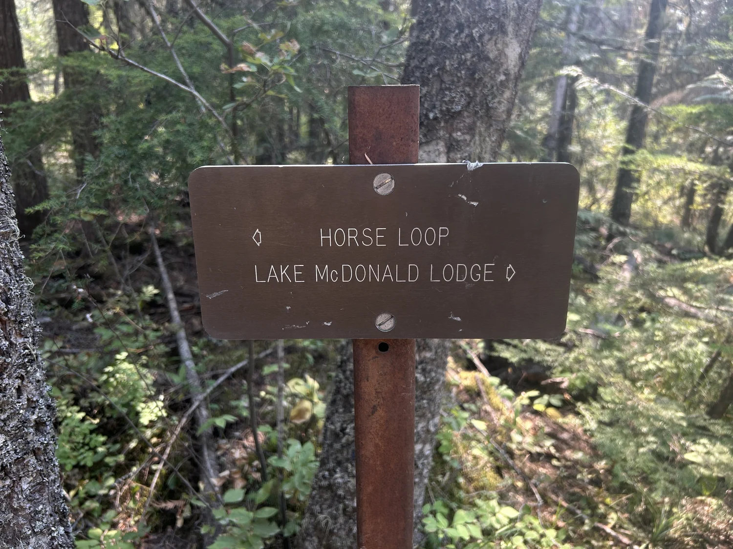 Hiking the Johns Lake Loop Trail in Glacier National Park — noahawaii